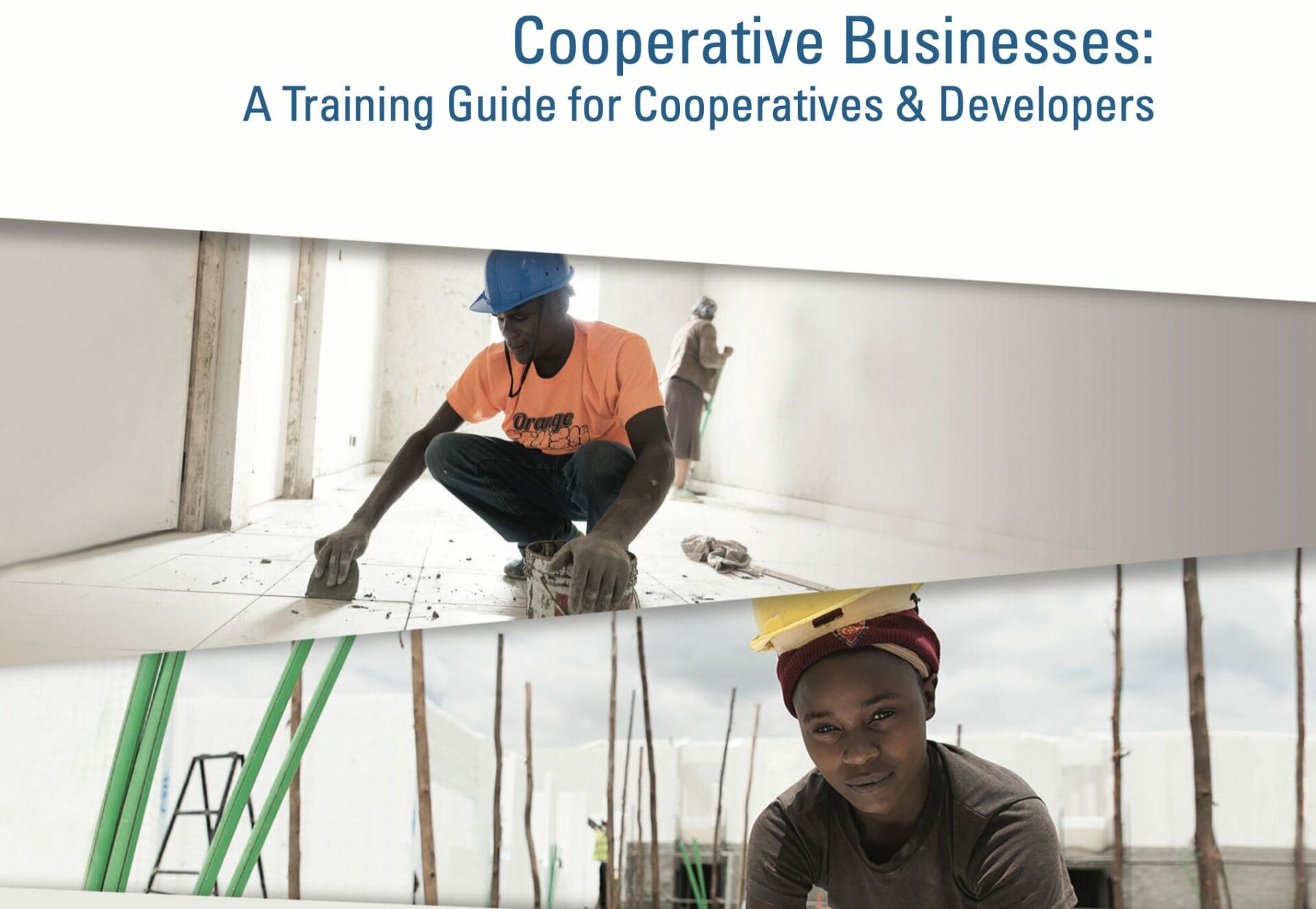 Cooperative Businesses: A Training Guide for Cooperatives & Developers ...