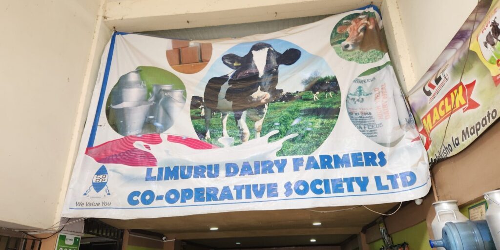 Case Study: Limuru Dairy Farmers Cooperative Business Development ...